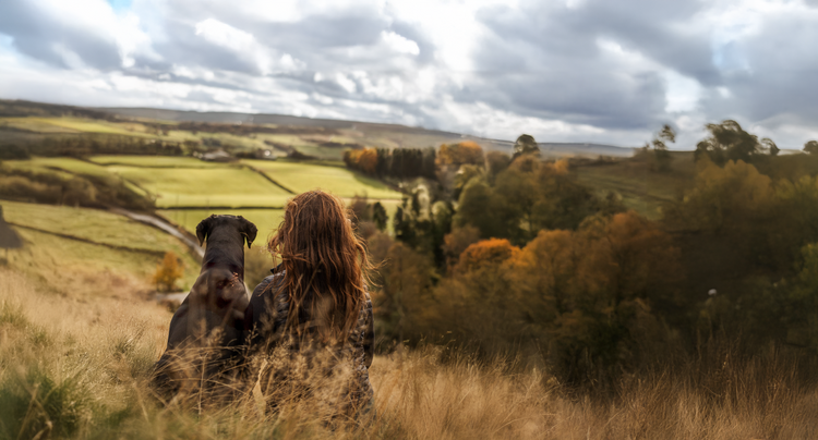 Dog Barn Yorkshire